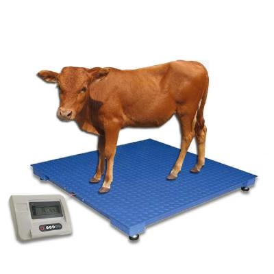 China AC110V/220V Power Supply 1.2*1.5m 500kg 1000kg 1500kg Balance Livestock Scale for Accurate Cattle Weighing at a for sale
