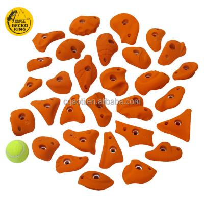 Cina Gecko King 30pcs Xs Size Indoor Rock Climbing Wall Screw per adulti in vendita