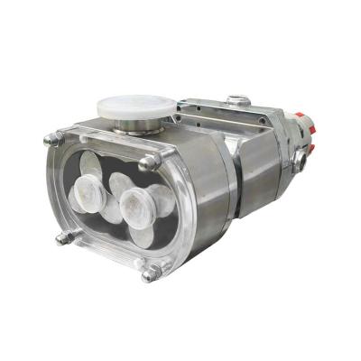 China Manufacturers Produce and Sell Food Cleanser Asphalt CAM Rotor Pump Pump Head Paste Liquid Stainless Steel Pump Head for sale