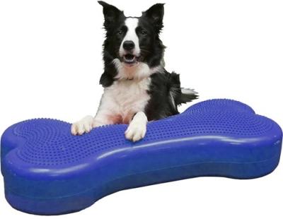 Chine Factory wholesales bone Dog Training Regular Balancing Bone à vendre