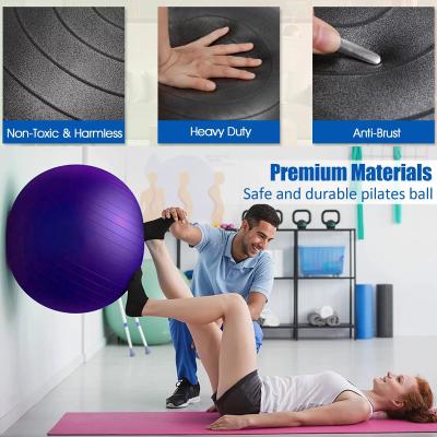 Chine Exercise Ball Pilates Yoga Ball for Fitness Pregnancy Stability Balance Ball Chair with Quick Pump à vendre
