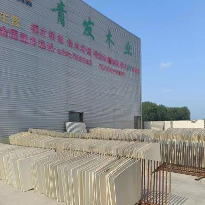 Cina Prezzi di legname da legno da 4x8 di paolownia sbiancata in vendita