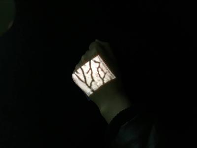 中国 静脈のために「緑か黒いより明確な静脈を表示するための Infared ライト Transilluminator の静脈のファインダーの近く s 色 販売のため
