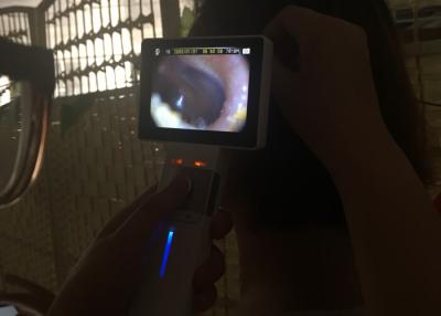 Κίνα έξυπνο ιατρικό USB τηλεοπτικό ωτοσκόπιο 1920 X 1080 εικονοκυττάρων CMOS για το δέρμα αυτιών και τη γενική απεικόνιση προς πώληση