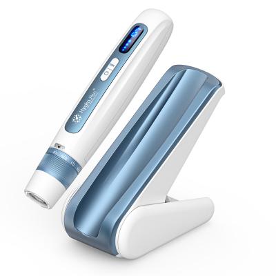 Flüssigkeitstragender elektrischer Mikronadelstift zur Lösung von Hautproblemen