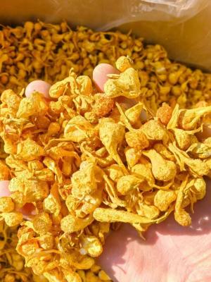 China High Quality Dry Cordyceps Militaris Extract Cordiceps Cordyceps Sinensis Cordyceps Sinensis Mushroom for sale