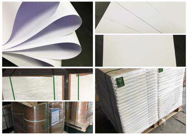 χωρίς επίστρωση Woodfree έγγραφο 60gsm 70gsm 80gsm για την υψηλή λευκότητα σχολικών βιβλίων