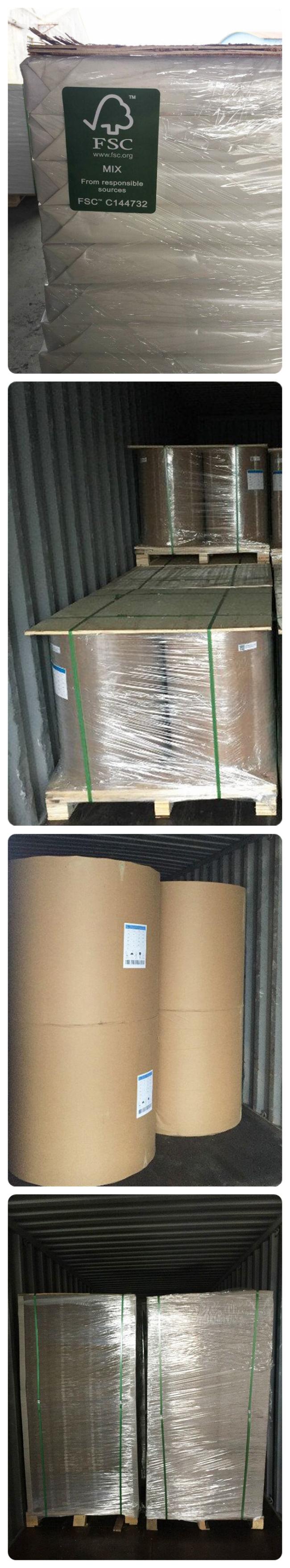 Papel de impresión en offset NOVEDAD papel sin recubrimiento y grande de FGS del FCS de la blancura de impresión en offset con 70gsm 80gsm 100gsm