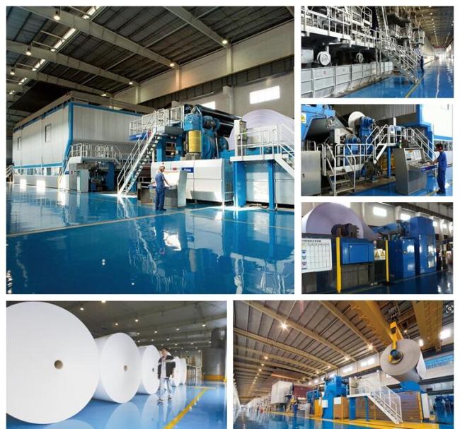 High Printability CAD Plotter Paper For Engineering Design 150ft & 300ft High Printability CAD Plotter Paper For Engineering Design 150ft & 300ft