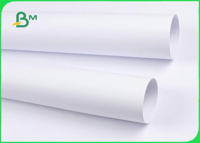 papier non-enduit d'impression offset de 70gsm Woodfree pour la surface douce de livre d'exercice papier non-enduit d'impression offset de 70gsm Woodfree pour la surface douce de livre d'exercice