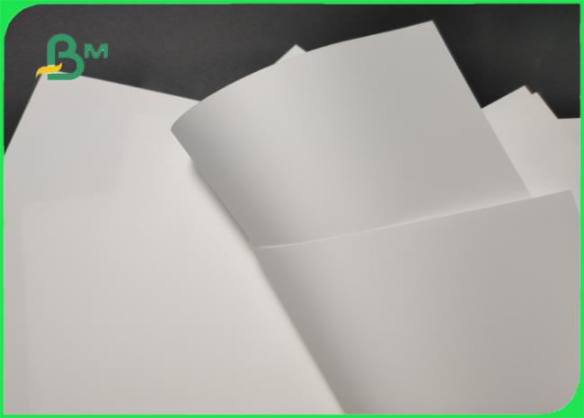 Eco - 증명서 좋은 프린팅을 위한 우호적 80 um 100 um 합성지