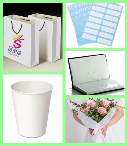 인쇄할 수 있는 인렬 저항 Caco3 재료 돌은 어떤 나무 A1 A0 A2 시트 사이즈도 도배하지 않습니다 인쇄할 수 있는 인렬 저항 Caco3 재료 돌은 어떤 나무 A1 A0 A2 시트 사이즈도 도배하지 않습니다