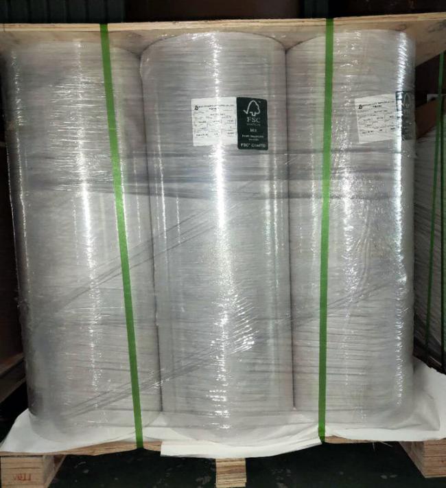 24" 35" Width Parchment paper 50g 60g 73g white tracing paper roll For Drawing 24" 35" Width Parchment paper 50g 60g 73g white tracing paper roll For Drawing