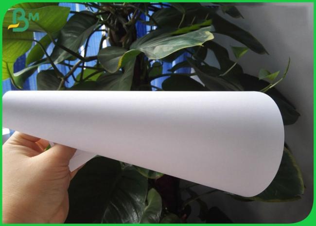 Wood Pulp White 120gsm Offset Printing Paper For Exercise Book Wood Pulp White 120gsm Offset Printing Paper For Exercise Book