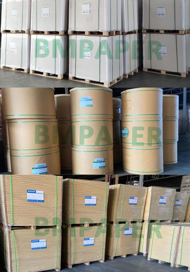 Offset Printing Paper Offset Printing Paper