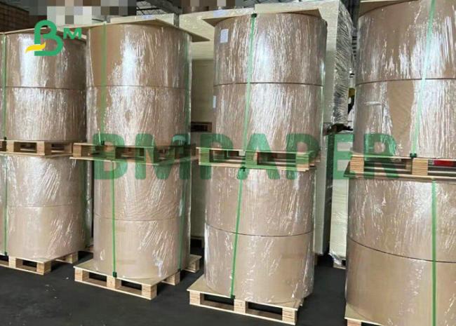 2 echó a un lado el texto superficial brillante revestido 100# de papel del lustre para los folletos 2 echó a un lado el texto superficial brillante revestido 100# de papel del lustre para los folletos