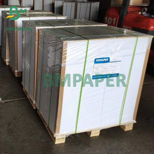 80LBS 100LBS Matte Text C2S White Paper Long Grain For Brochures Printing 80LBS 100LBS Matte Text C2S White Paper Long Grain For Brochures Printing