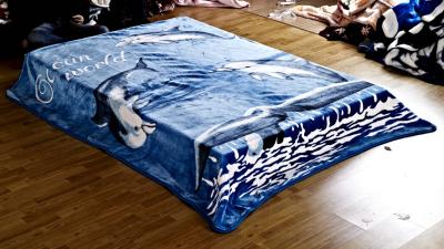 China Tamaños formados oblongos del color de Raschel de la manta azul el 160x220cm el 180x230cm del paño grueso y suave en venta