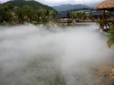 China Runder Löwenzahn-Brunnen mit elektrischer Stromquelle und einstellbarem Wasserfluss zu verkaufen