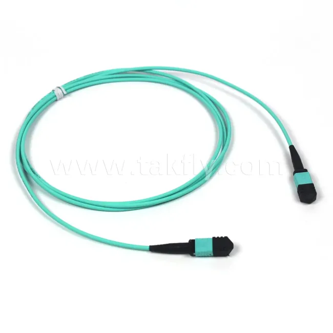 8/12/16/24cores Om3 Fiber Optical MPO Patch Cord close-up view