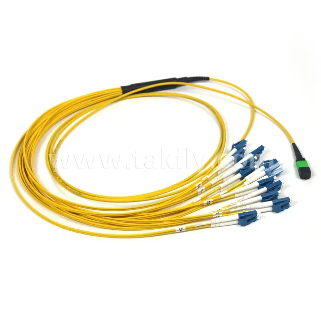 Direct Harness MTP-LC 24cores Fan-out Patch Cord close-up view