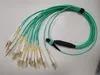 Κίνα 24 Core MPO-LC OM4 Breakout Cable για κέντρα δεδομένων 40G QSFP προς πώληση