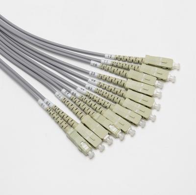 China 12C Armored SC LC Multimode Fiber Patch Cord 2.0 Breakout Stainless Steel for sale