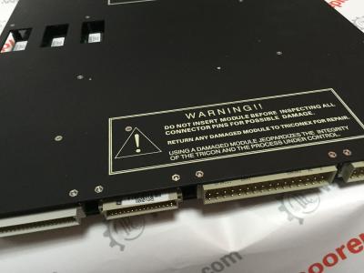 China 32 lbs DCS Module 3504E TRICONEX INPUT MODULE New and original for sale