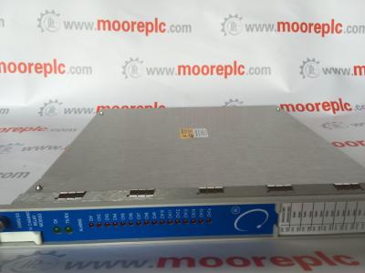 Κίνα Ασφαλείς 0,89 λίβρες Bently Νεβάδα 3500 I/O ενότητα ανίχνευσης υπερβολικής επιτάχυνσης 133396-01 προς πώληση