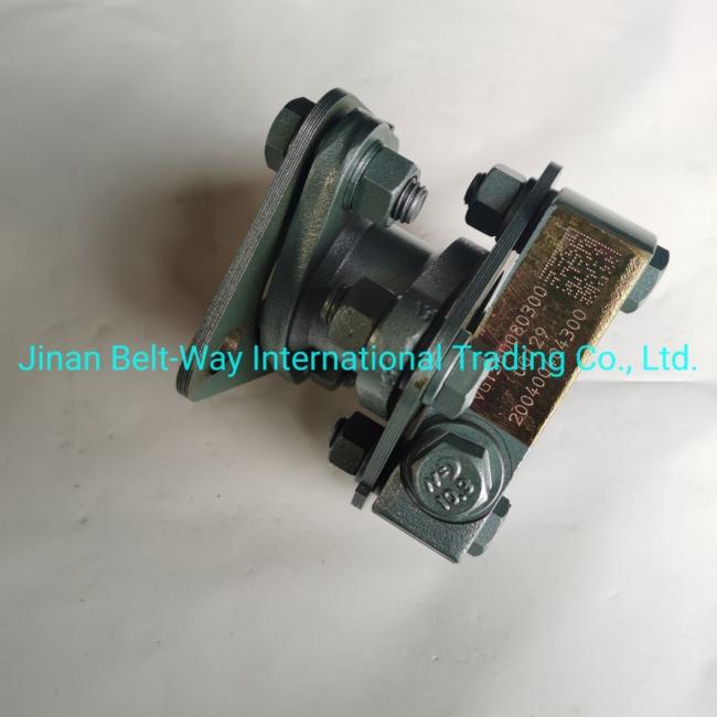 Sinotruk HOWO Engine Coupling Vg1560080300