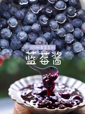 Cina Delicious Blueberry Jam Fruit Syrup For Breakfast 220gBlueberry Jam Syrup 220g in vendita