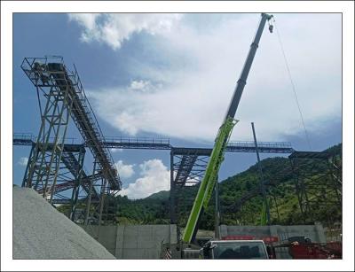 Cina Il cellulare spolverizza il nastro trasportatore in serie di orizzontale di 1000mm in vendita