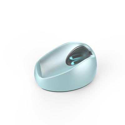 中国 2021専門IPLの毛の除去剤の家の顔の毛の除去剤機械を向く美 販売のため