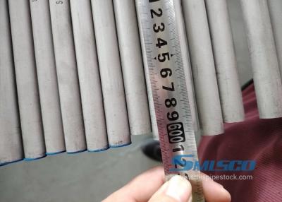 China TP321 Stainless Steel Boiler Tube ASTM A213 for Superheater for sale