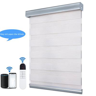 Cina FREE SAMPLE Smart Dual Roller Motor Blinds 100% Blackout Double Layers Day Night Window Electric Motorized Zebra Blinds in vendita
