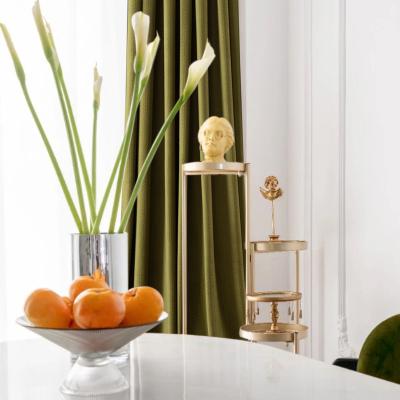 Cina Luxurious Velvet Modern Simple Texture Dark Flannelette Living Room Curtain in vendita