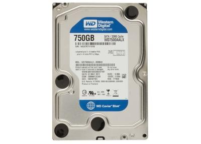 Cina Drive del hard disk 32MB WD7500AALX del server di SATA 6 Gb/s 750GB per il computer/PC in vendita