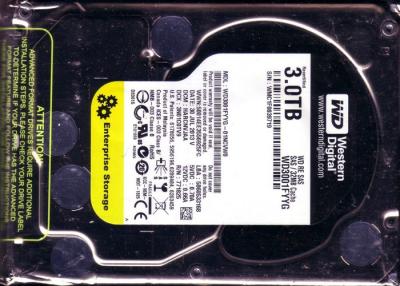 Cina 32 TB a 3.5 pollici WD di MB WD3001FYYG SRS 6 Gb/s 7200 giri/min. 3 con riferimento al drive del hard disk del server in vendita