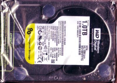 Cina 7200 giri/min. WD1001FYYG WD con riferimento disco rigido a 3.5 pollici di MB di TB 32 di SRS 6 Gb/s al 1 in vendita