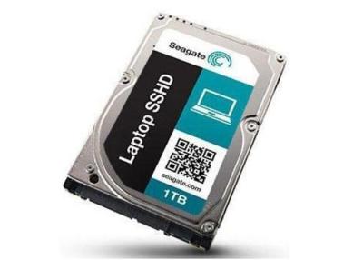 Cina MB del disco rigido 6Gb/s NCQ ST1000LM028 64 del server di 1TB SATA in vendita
