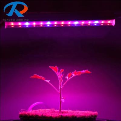 Cina Horticulture LED Plant Grow Light T8 Indoor Full Spectrum in vendita