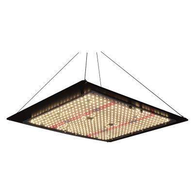 Cina IP54 180w 300*380*3mm Full Spectrum Led Grow Lights For Indoor Plants in vendita