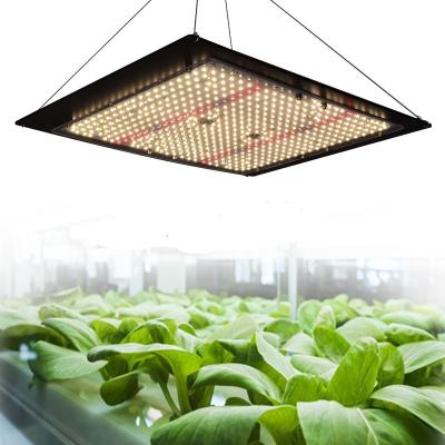 Cina 150W Aluminum LED Plant Grow Light Full Spectrum Ip65 For Indoor Plant in vendita