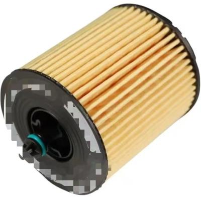 Cina Filtro per olio per auto personalizzabile 12605566 per HU6007X P7442 MD-463 CH9018 OEM accettabile in vendita