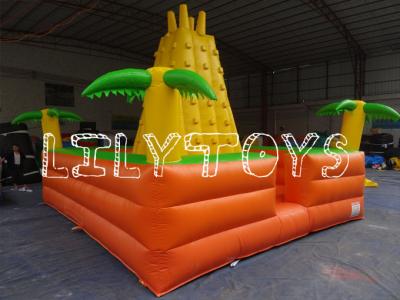 Cina terra gonfiabile di divertimento/centro rimbalzante gonfiabile del gioco/giochi gonfiabili di salita in vendita