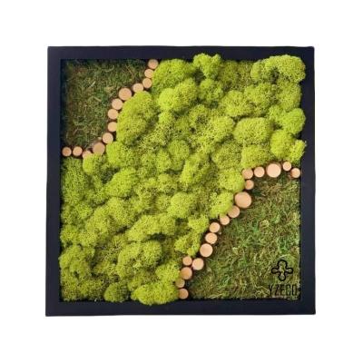 Chine 30*30cm Mousse de rennes Paroi Stabilisé Panneau Art Pour la décoration de paysage avec logo personnalisé à vendre