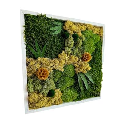Chine 30*30cm Mousse de rennes Paroi Stabilisé Panneau Art Pour la décoration de paysage avec logo personnalisé à vendre