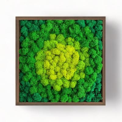 Chine 30*30cm Mousse de rennes Paroi Stabilisé Panneau Art Pour la décoration de paysage avec logo personnalisé à vendre