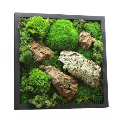 Chine 30*30cm Mousse de rennes Paroi Stabilisé Panneau Art Pour la décoration de paysage avec logo personnalisé à vendre