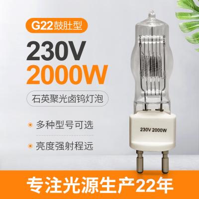 Cina lampadina conclusa dell'alogeno della lampada di 230v 2000w G22 singola 3200k 300Hours in vendita